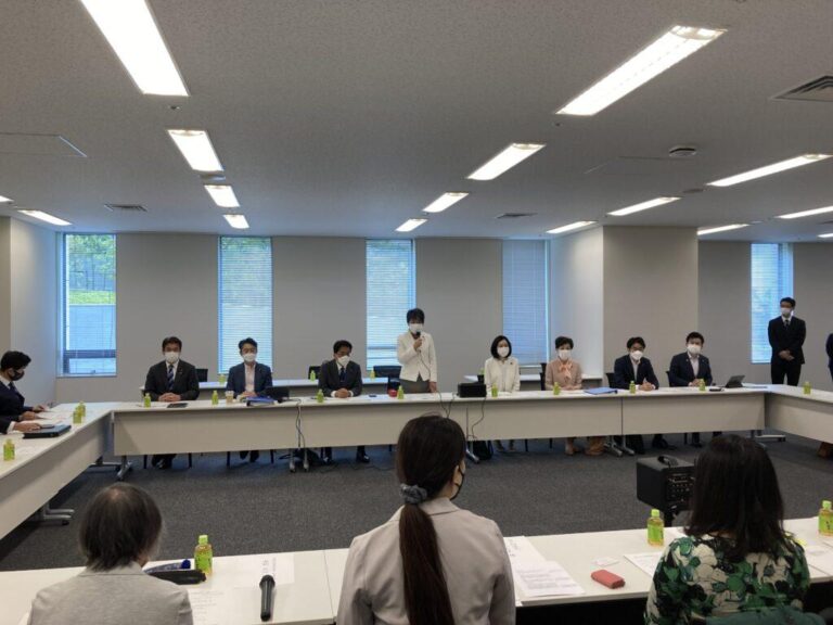 Nonconsensual Pornography - Human Rights Now Global Site