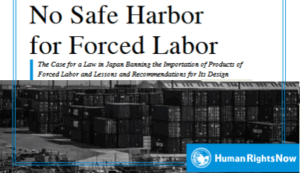 Japan - Human Rights Now Global Site